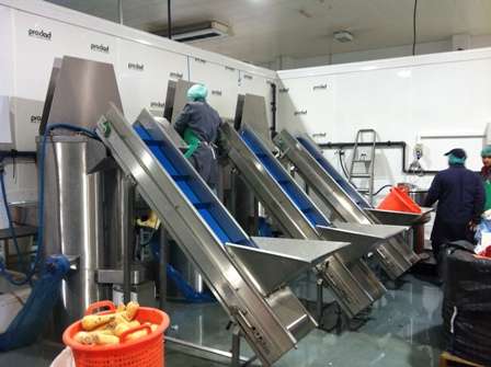 Production Lines Installed | New and Used Food Machinery Supplier